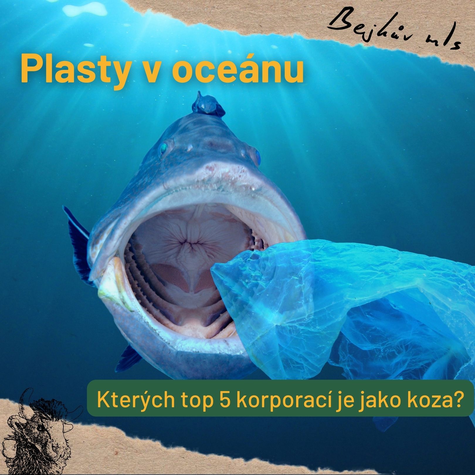 Plasty v oceánu. Kterých top 5 korporací je jako koza? – Bejkův mls